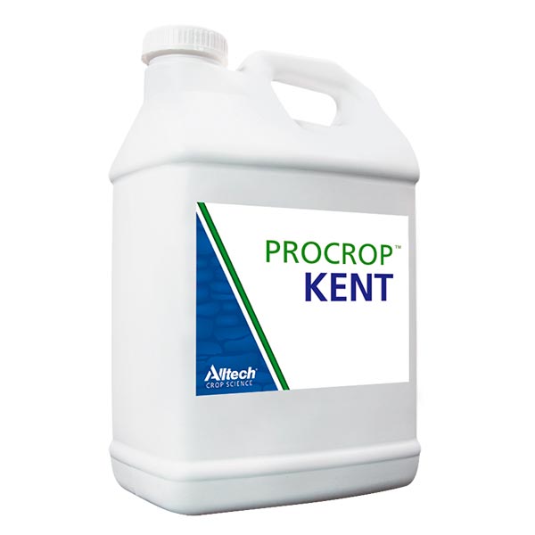 Portal TecnoAgrícola