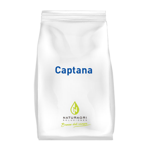 Portal TecnoAgrícola