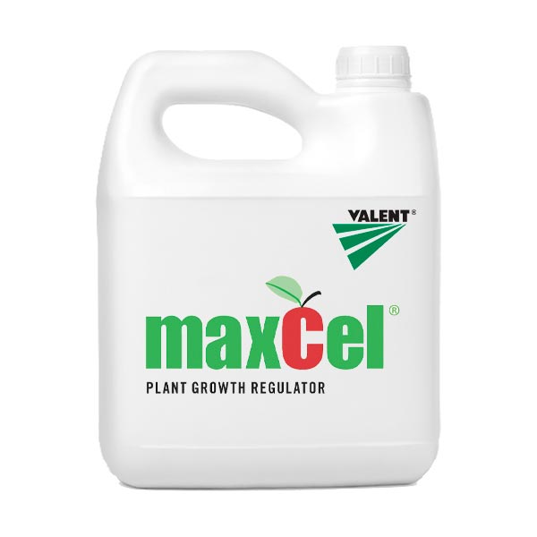 Portal TecnoAgrícola