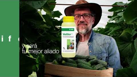 Portal TecnoAgrícola