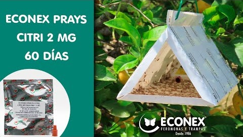 Portal TecnoAgrícola