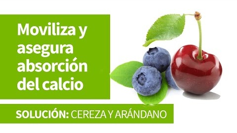 Portal TecnoAgrícola