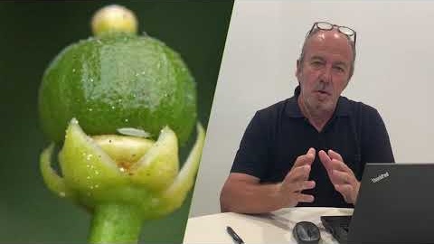 Portal TecnoAgrícola