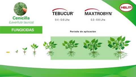 Portal TecnoAgrícola