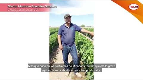 Portal TecnoAgrícola